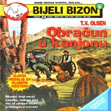 Bijeli bizon 008. obračun u kanjonu | PDF