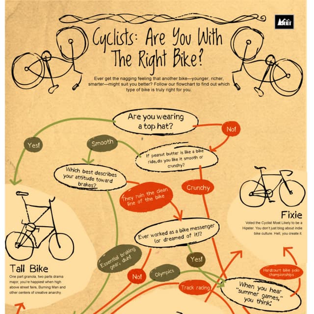 Bike infographic | PDF