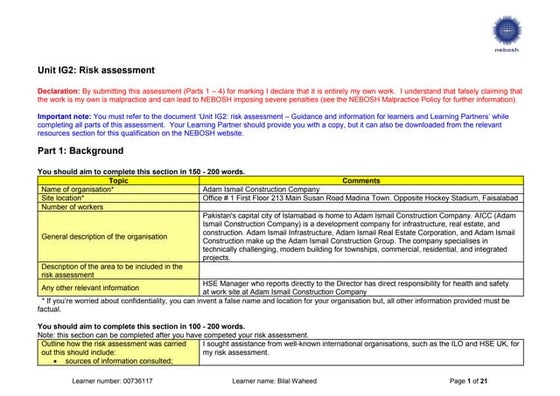 IG2 Risk Assessment.for any copany .docx | Medical Health