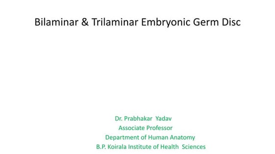 Explain how the three germ layers participate in the formation of ext.pdf