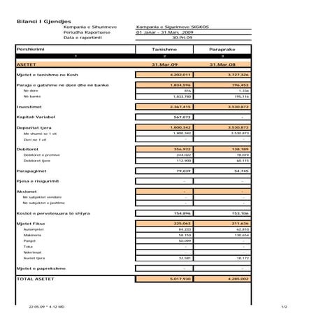 Bilanci i gjendjes | PDF