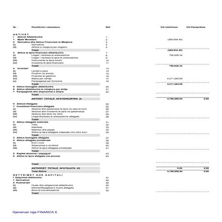 Bilanci kontabel | PDF