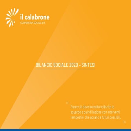Bilancio Sociale 2021 - Sintesi | PDF
