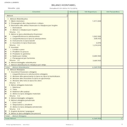 Bilanc kontabel | PDF
