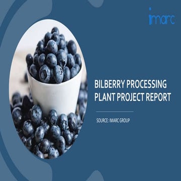 Blueberry Processing Plant Project Report.potx