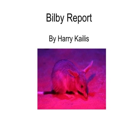 Bilby report by Harry | PPT