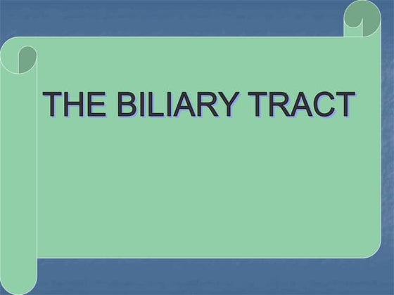 The Anatomy Of The Liver & The biliary system | PPT