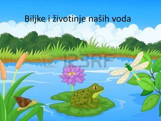 Paukovic proljece | PPT