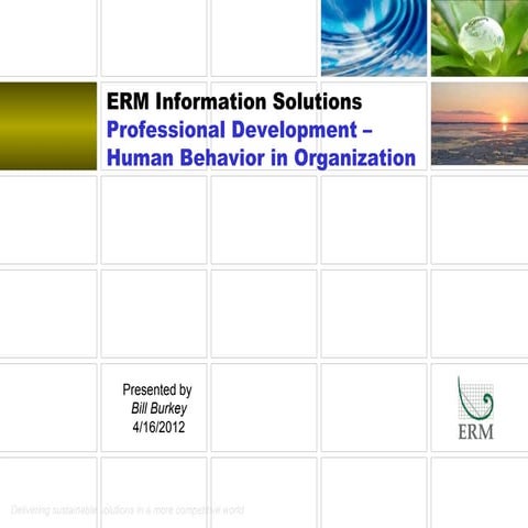 Professional Development - Human Behavior in Organization | PPT