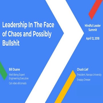 Leadership In the Face of Chaos and Possibly Bullsh*t | PPTX