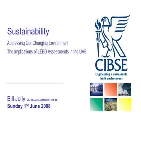 This Is Why the UAE Is Emerging as a Global Leader in Sustainable ...