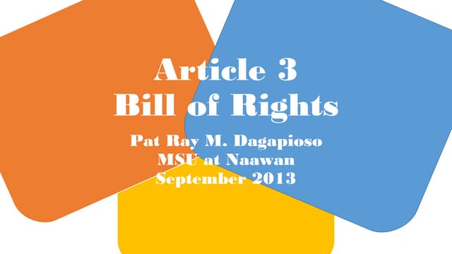Summary Bill or RIGHTS Article 3 Section 1-22 | PDF