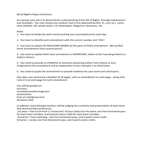 Bill of rights project directions | PDF