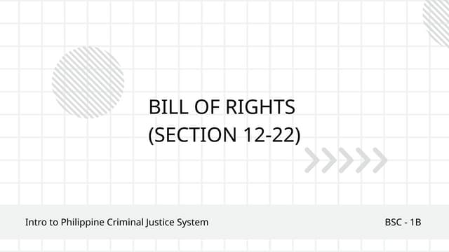 Summary Bill or RIGHTS Article 3 Section 1-22 | PDF