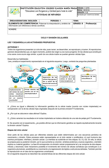 Tema 45 Características generales del ciclo celular y sus fases. (interfaz, fase G0 o ...