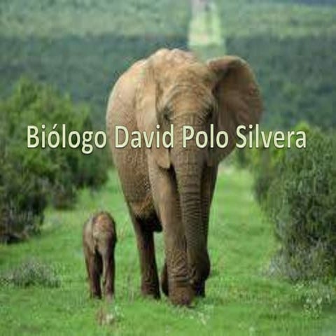 Biólogo David Polo Silvera | PPTX