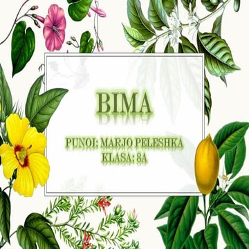 Bima, Fotosinteza , Pjeset e bimes, funksionet | PPTX