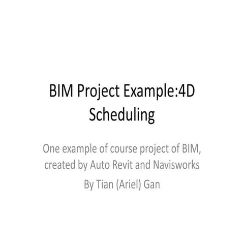 Bim Project Videp Example | PPTX