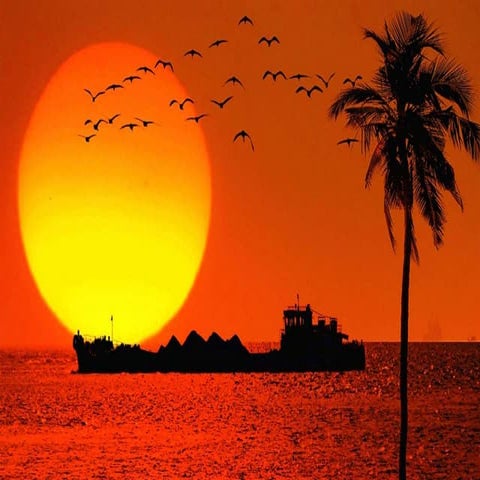 Homan’s Sign for DVT.pptx