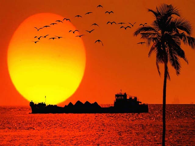 Homan’s Sign for DVT.pptx