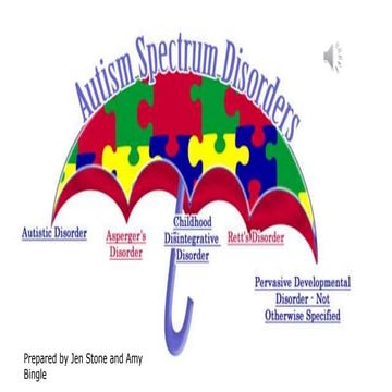 Bingle amy stone_jen_dis_ability project_lai574 (2) | PPT