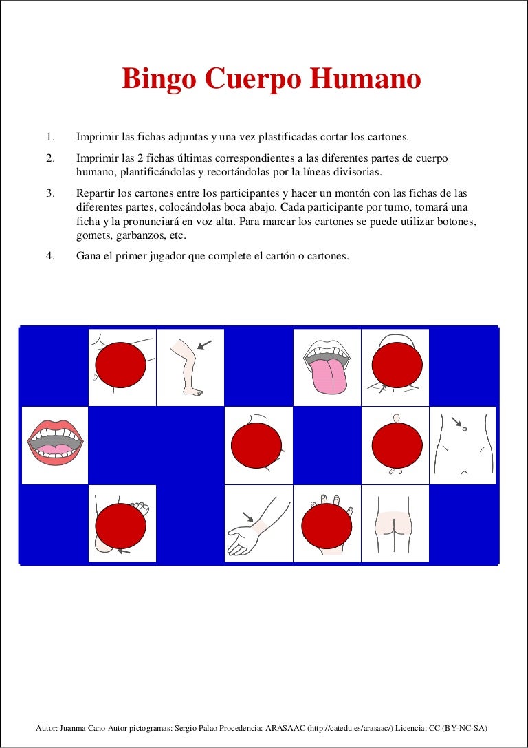 Bingo partes del cuerpo