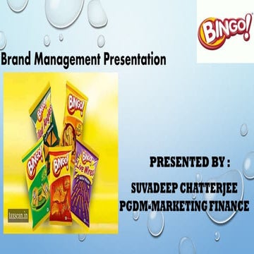 Segmentation- Targeting and Positioning of BINGO | PPTX
