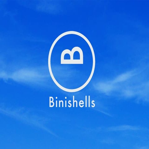 Binishells construction systems: A greener, faster, more resilient and ...