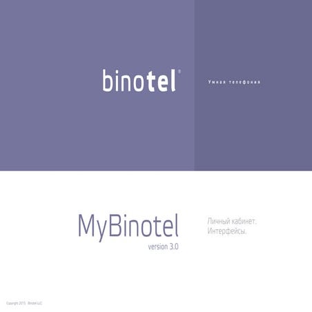 Binotel presentation | PDF