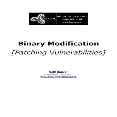 Binary Modification [Patching] | PDF