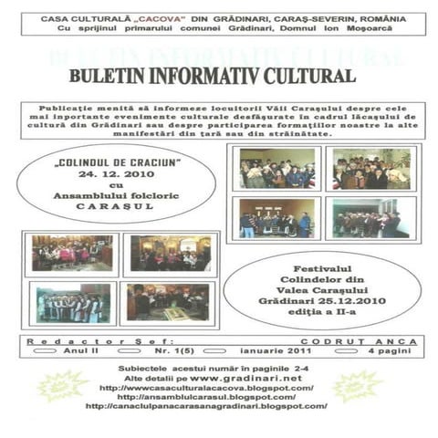 Buletin Informativ Cultural nr.1 din 2011 | PPTX