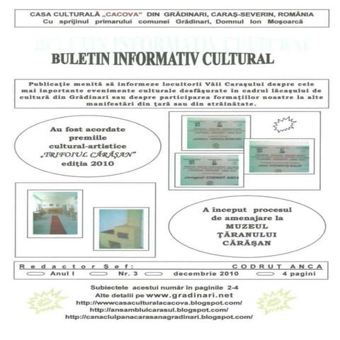 Buletin Informativ Cultural nr. 3 din 2010 | PDF