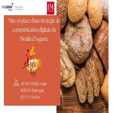 Ntmps brochure | DOC