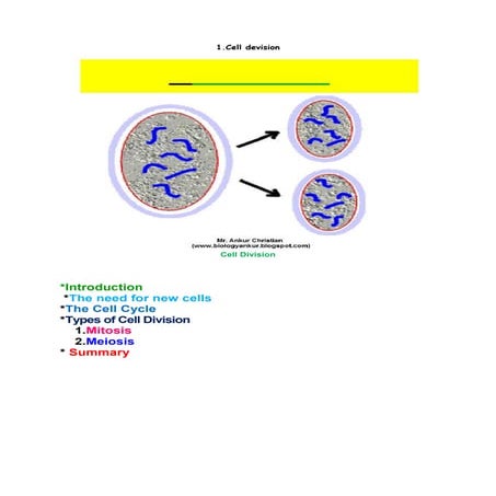 Plant and Animal Cells | PPTX
