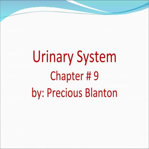 Urinary System Notes | PPT