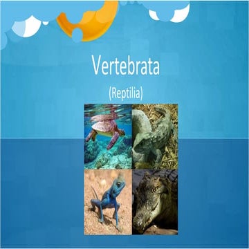 P.Reptilia | PPT