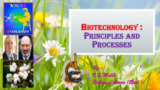 Biotechnoloy principles and processes | PPTX | Biotech and Biomedical ...