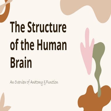 Detailed Anatomy of the Human Brain and its functions | PPTX