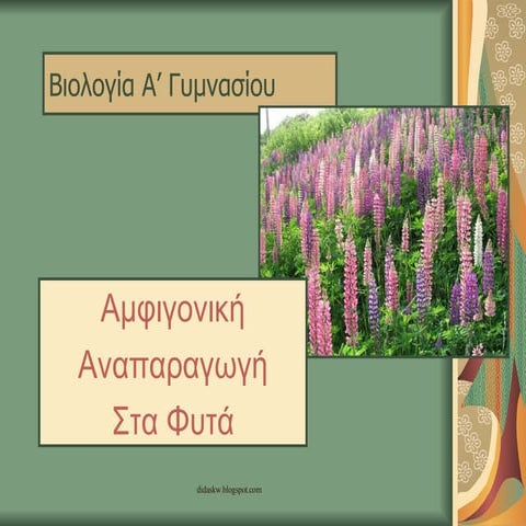Bio Amfigonia Sta Fyta Blog | PPT