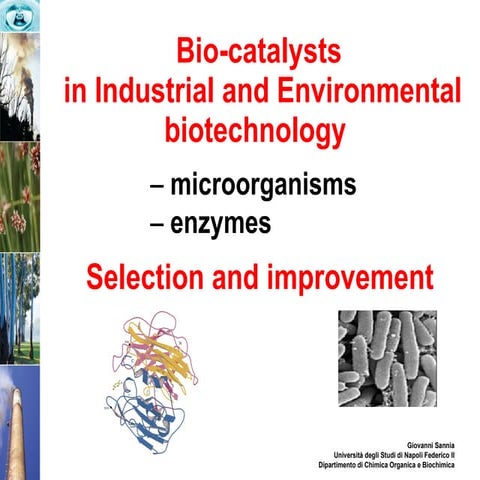 Bio Catalysts | PPT