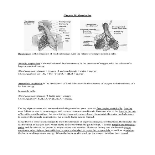 AM11 Trigonometry | DOCX