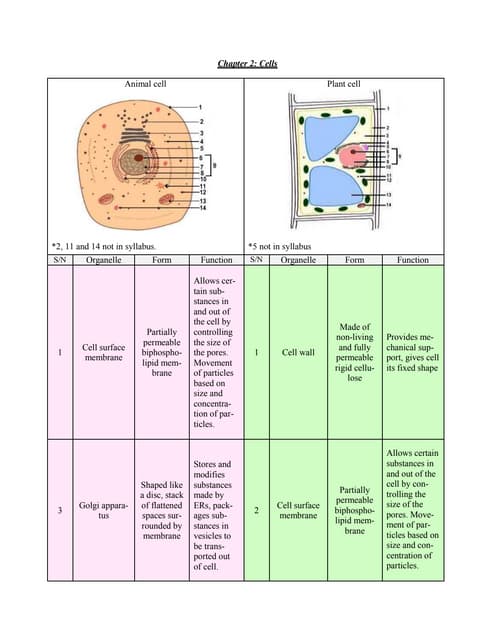 Cell division 2014 | PPT