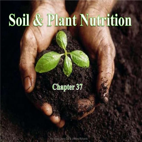 Bio chapter 37 | PPT