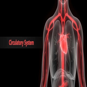 Bio ------------------------ Cirulatory System.pptx