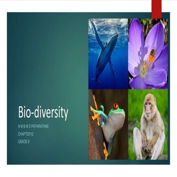 Bio-diversity grade 9.pptx
