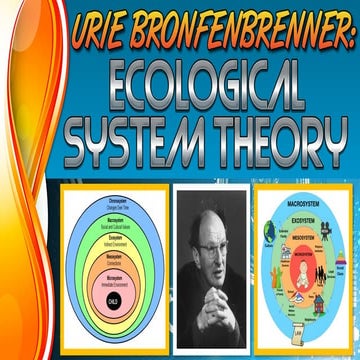 Comprehensive Overview of Bronfenbrenner's Bioecological Systems Theory ...