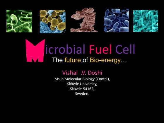 Microbial fuel cell | PPT