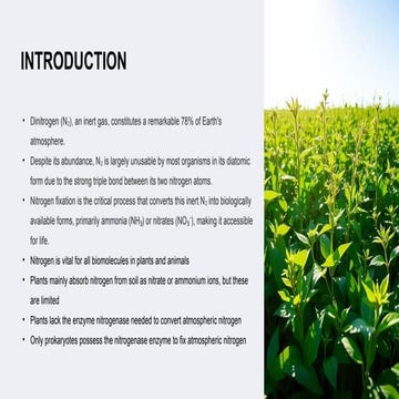 Nitrogen fixation | PPTX