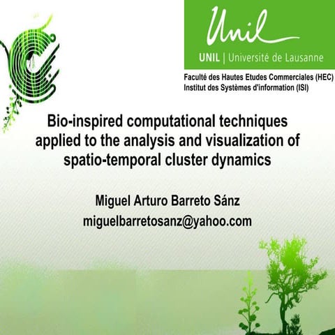 Bio Inspired Computational Techniques Applied To The Analysis And