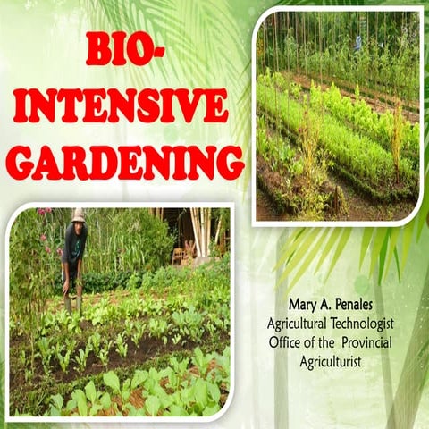 Bio-Intensive Gardening powerpoint presentation | PPTX
